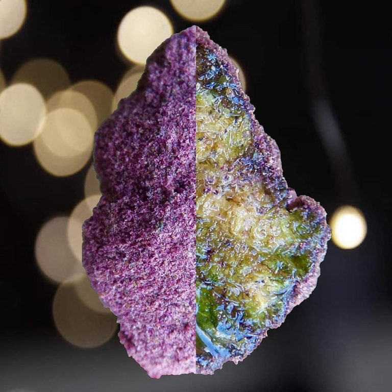 Diferencia entre Rosin, WAX y Hachis - CANNALAND