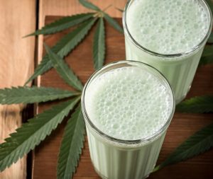 Hablemos del Hemp y sus diversos usos - CANNALAND